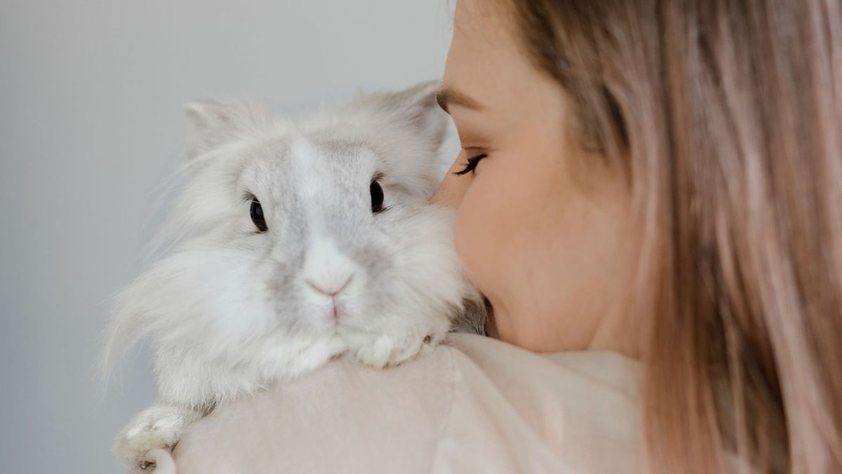 32 facts about rabbits that might surprise you | PetsRadar