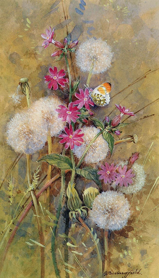 Gordon Beningfield: A celebration of the artist and champion of the ...