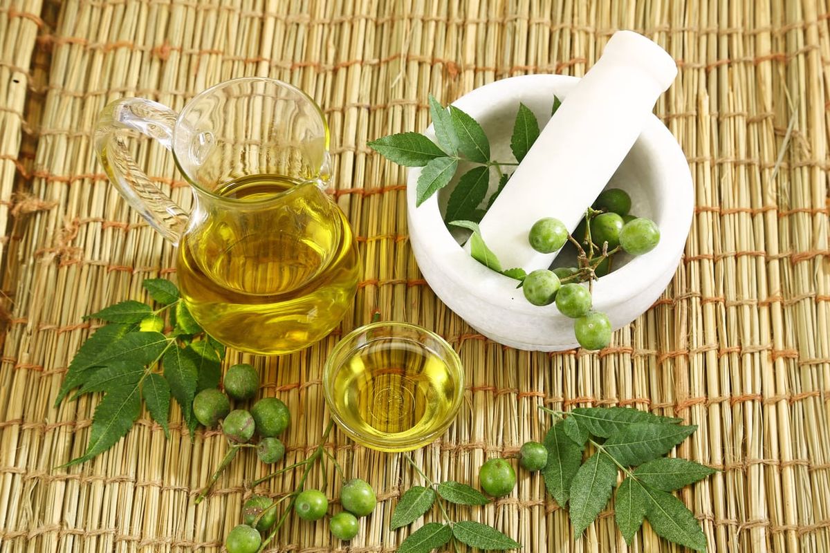 What Is Azadirachtin Insecticide: Using Neem Oil And Azadirachtin For ...