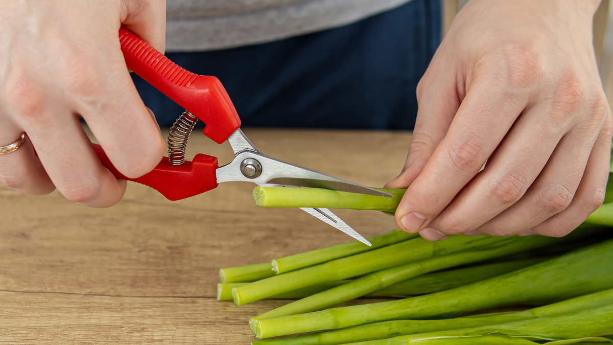 How to choose the right shears for the job — advice from garden experts ...