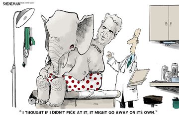 5 outspoken cartoons about Epstein survivors taking center stage | The Week