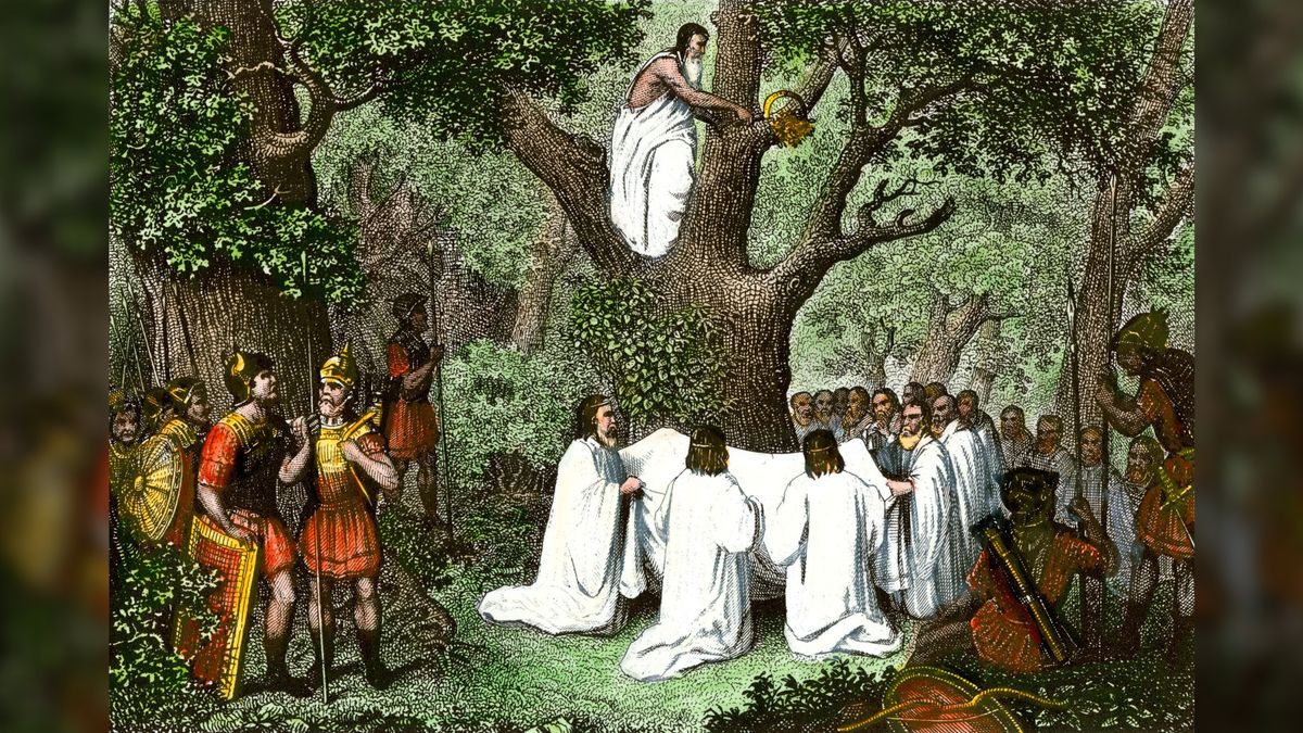 The mysterious history of druids, ancient 'mediators between humans and ...