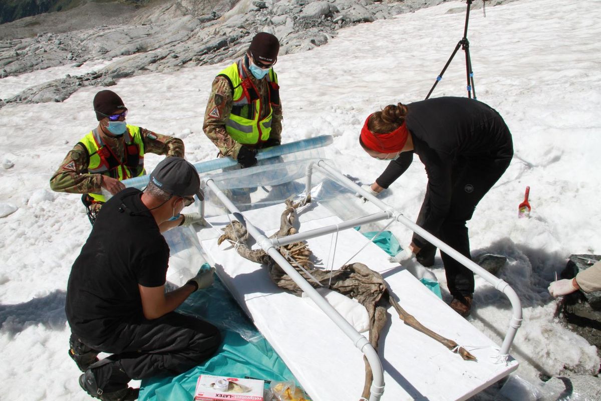 Mummified goat found frozen in Alps by champion skier | Live Science