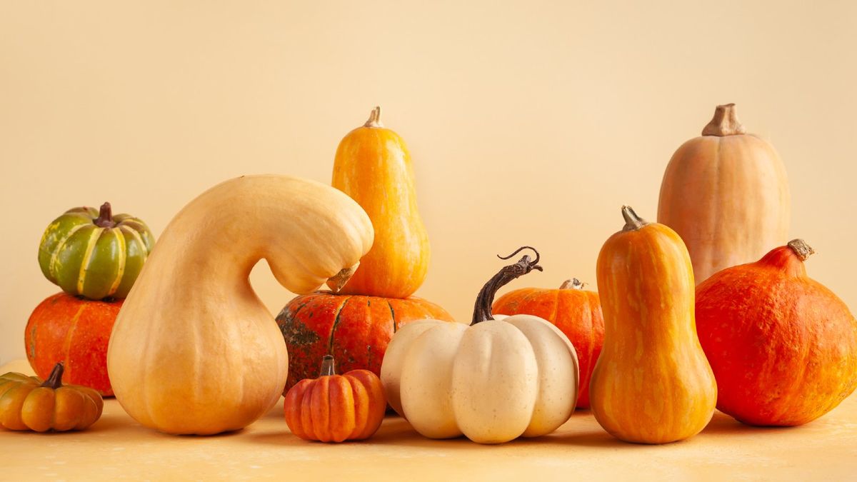 10 Types Of Squash Every Gardener Should Know – And Grow! | Gardening ...