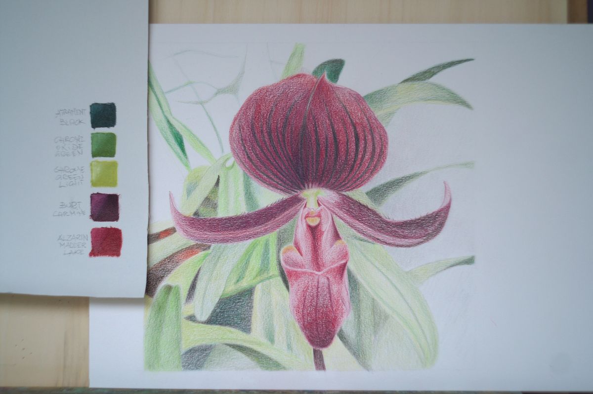 How to paint an orchid with oil paints | Creative Bloq