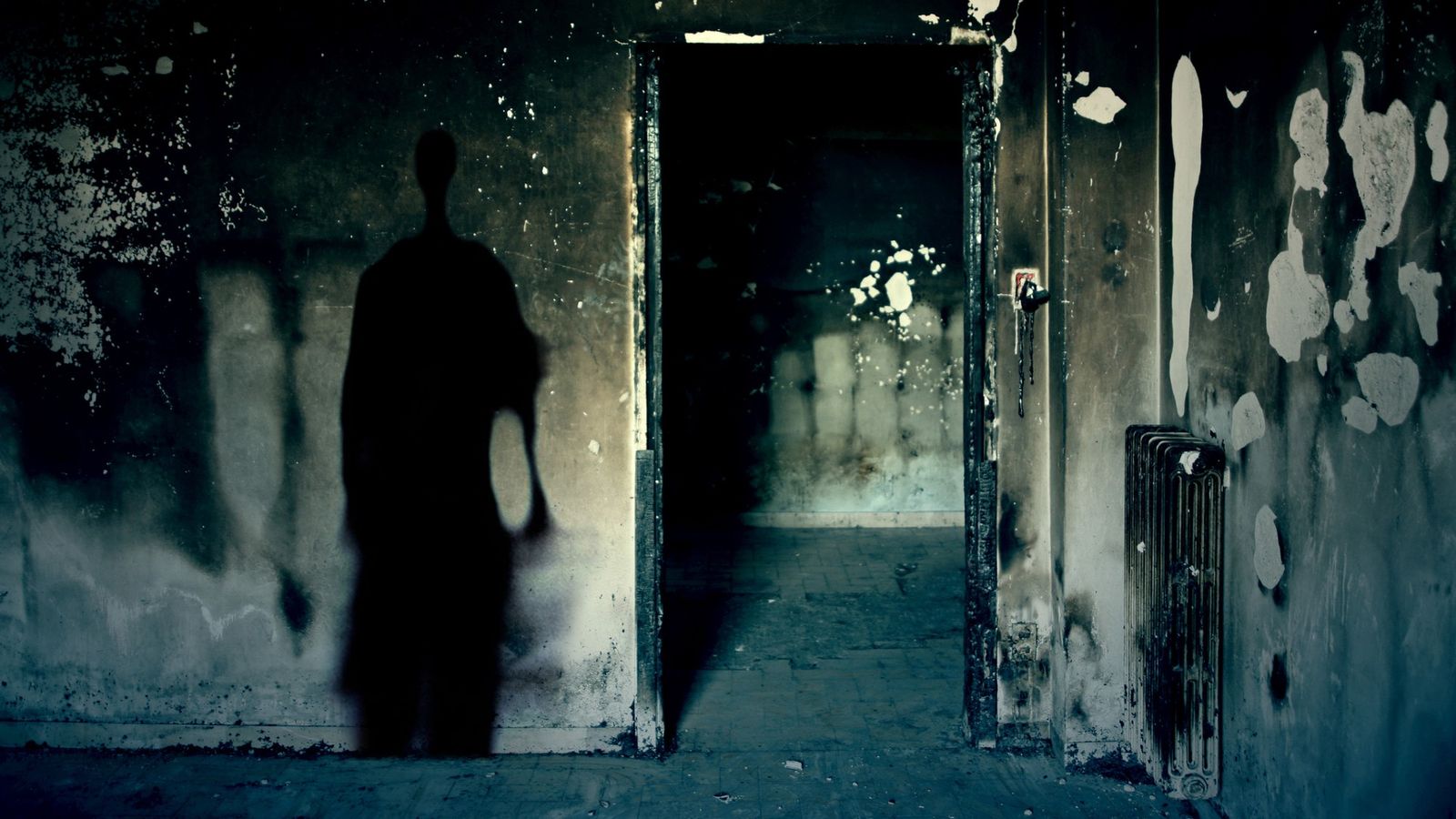 The Week contest: Haunted plumber | The Week