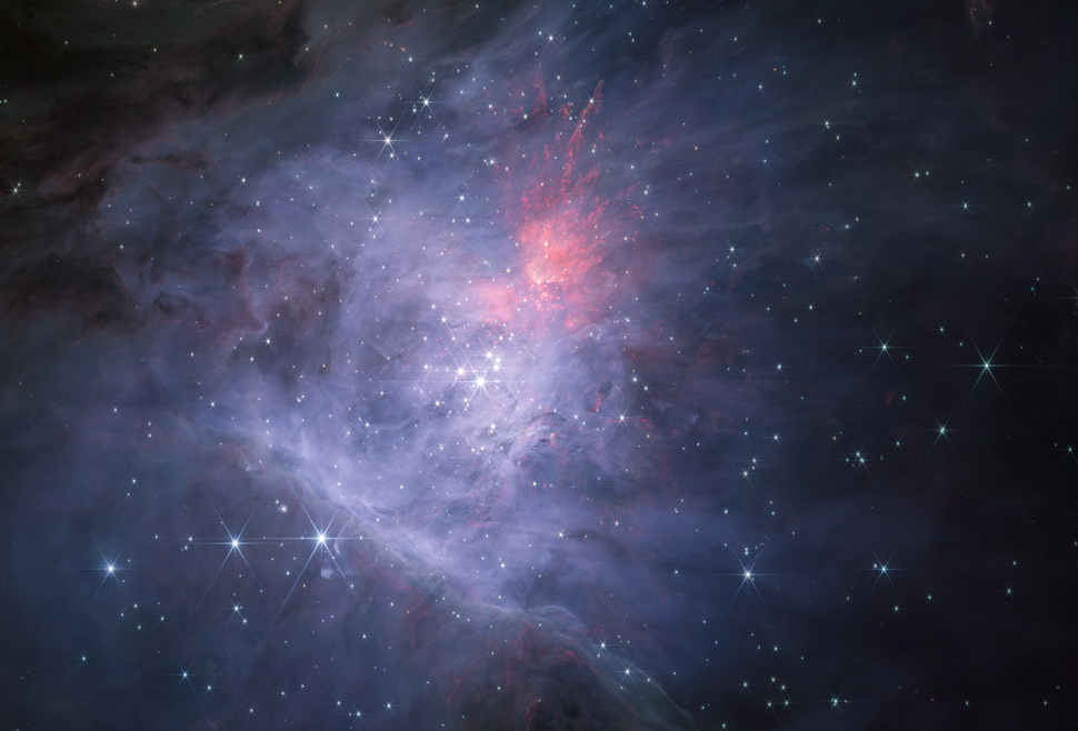 James Webb Space Telescope's stunning mosaic of Orion Nebula uncovers rogue planets (photos) | Space