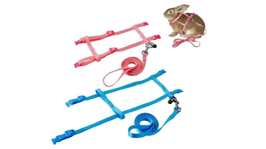 Best rabbit harness: Let them explore in safety | PetsRadar