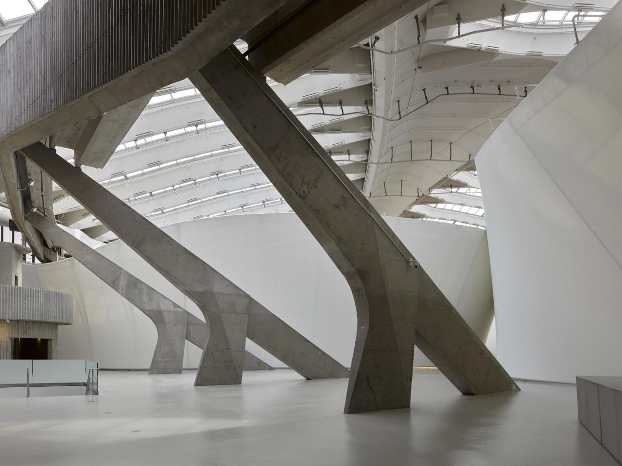 Modernism and biophilic design mix in Montreal's Biodôme | Wallpaper*