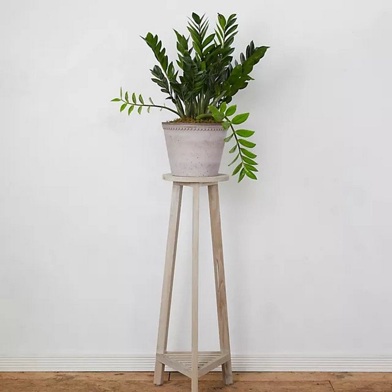 Best plant stands for indoor plants: styling tips | Homes and Gardens