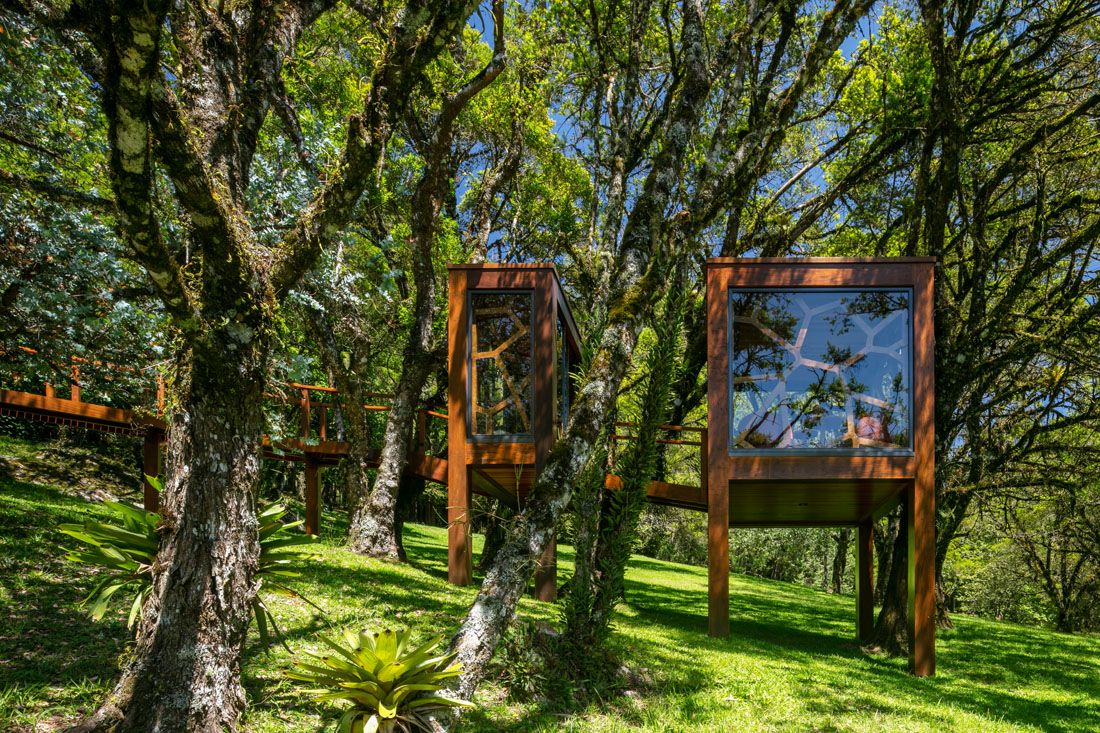 Brazilian treehouse is inspired by woods | Wallpaper