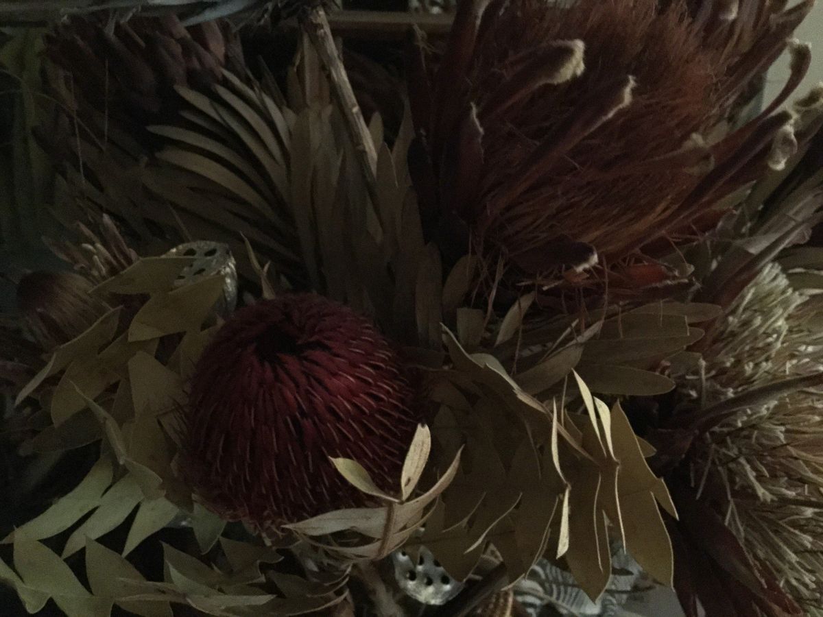 Here's how the new iPod touch camera compares to Apple's best! | iMore