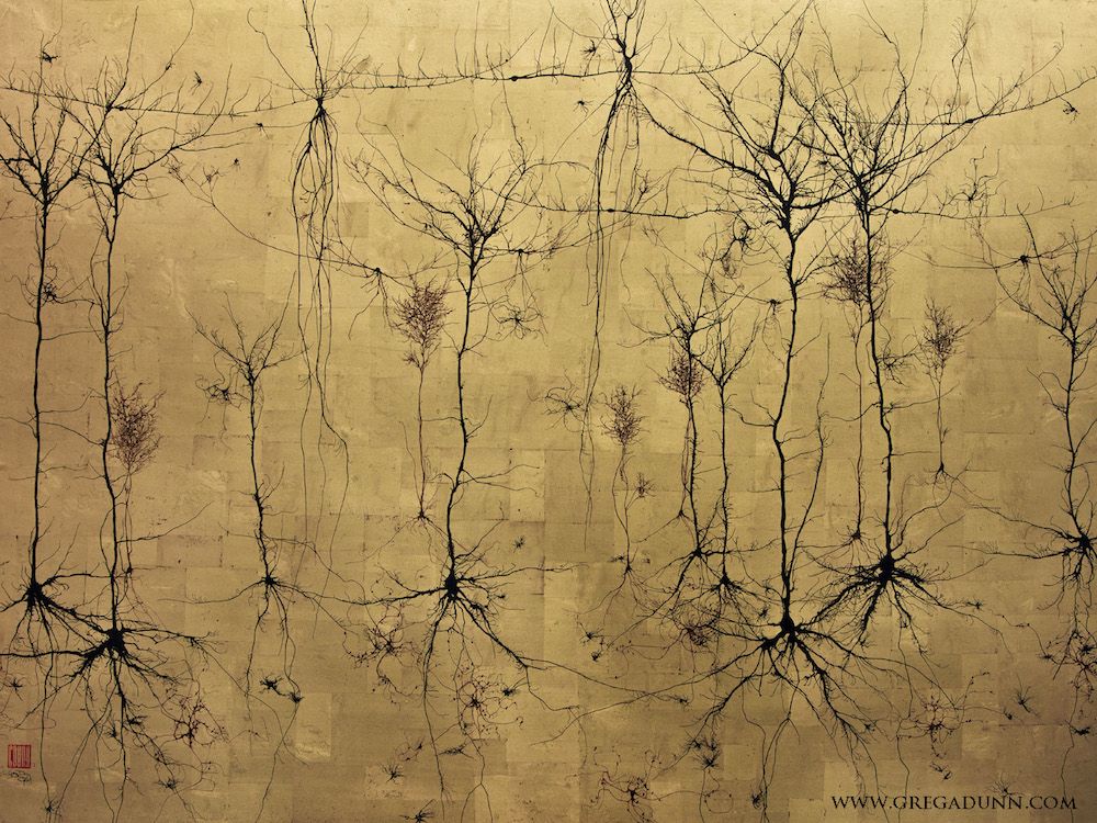 Dazzling Images of the Brain Created by Neuroscientist-Artist | Live ...