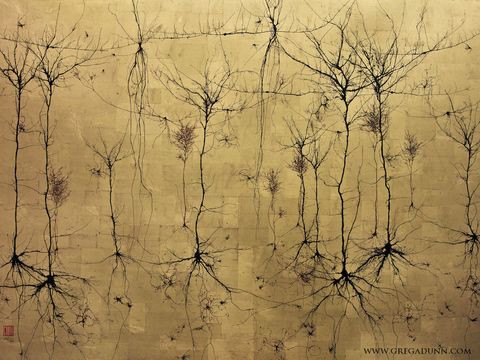 Dazzling Images of the Brain Created by Neuroscientist-Artist | Live ...
