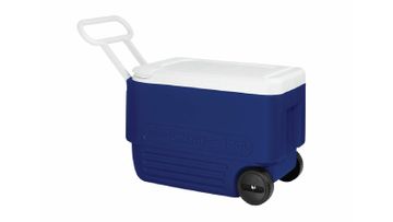 Best cool box for camping 2022: keep drinks and snacks fresh and cold | T3