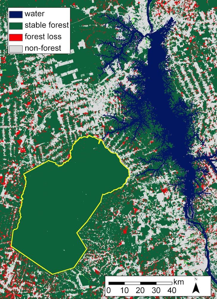 Biodiversity Threats: Maps of Species Hotspots | Live Science