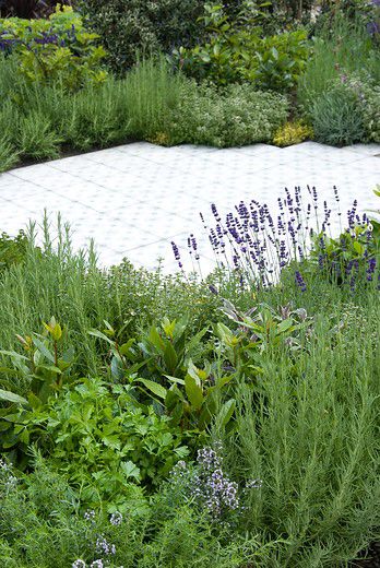 The best edging plants: easy ways to define key areas of your garden ...