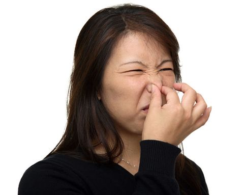 Minty? Lemony? Humans Can Smell 10 Types of Odors | Live Science
