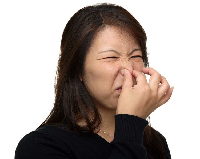 Minty? Lemony? Humans Can Smell 10 Types of Odors | Live Science