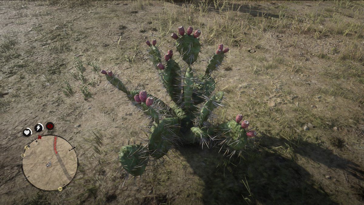 I can't stop looking at plants in Red Dead Redemption 2 | The Week