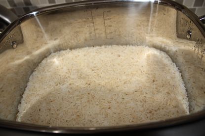 Wolf Gourmet Multi-Function Cooker review: A versatile slow cooker for ...