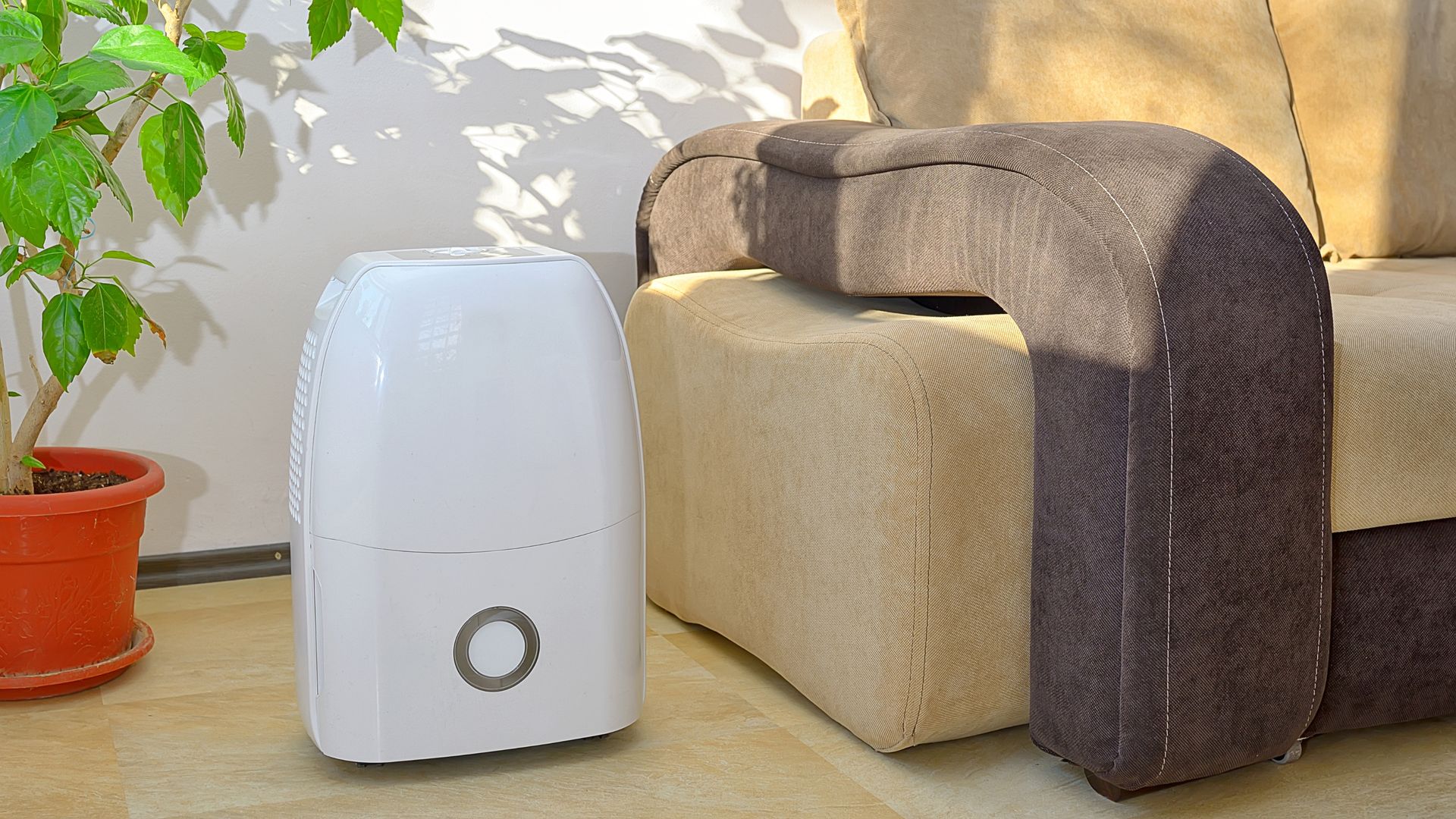 When should you use a dehumidifier? | Real Homes
