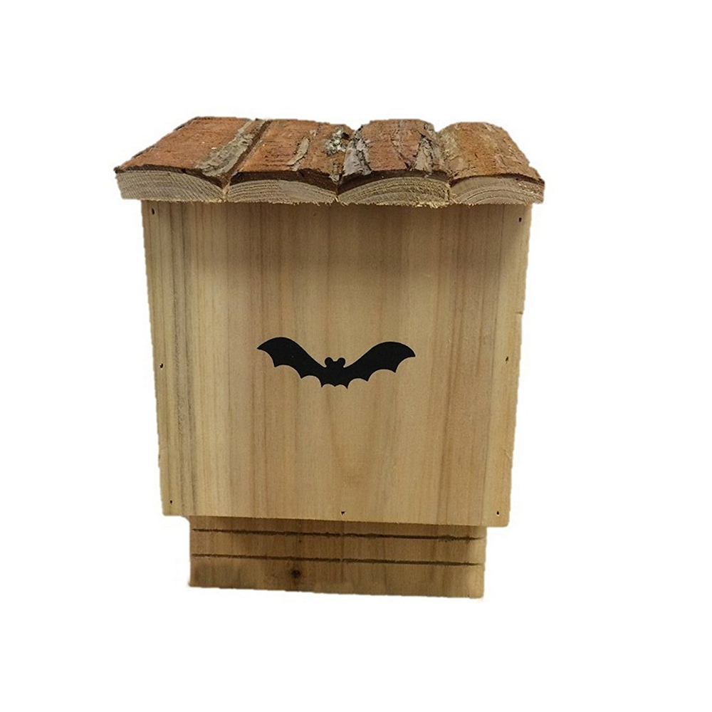 Would you swap your bird house for a bat box? | Ideal Home