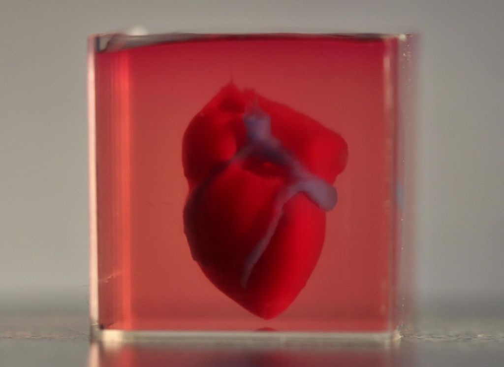 How Scientists 3D Printed a Tiny Heart from Human Cells | Live Science