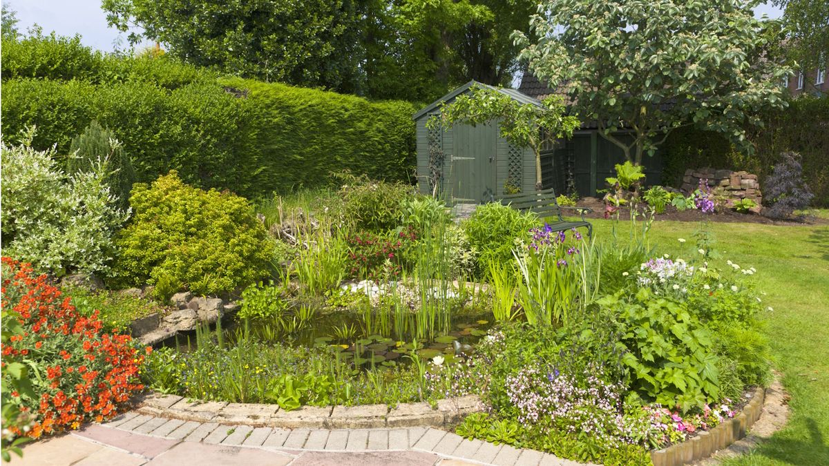 Oxygenating pond plants: 5 plants to clean your pond water | Homes and ...