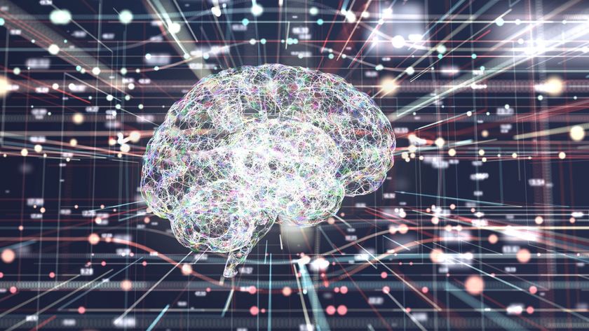 The Amazing Human Brain - News and Scientific Articles on Live Science ...