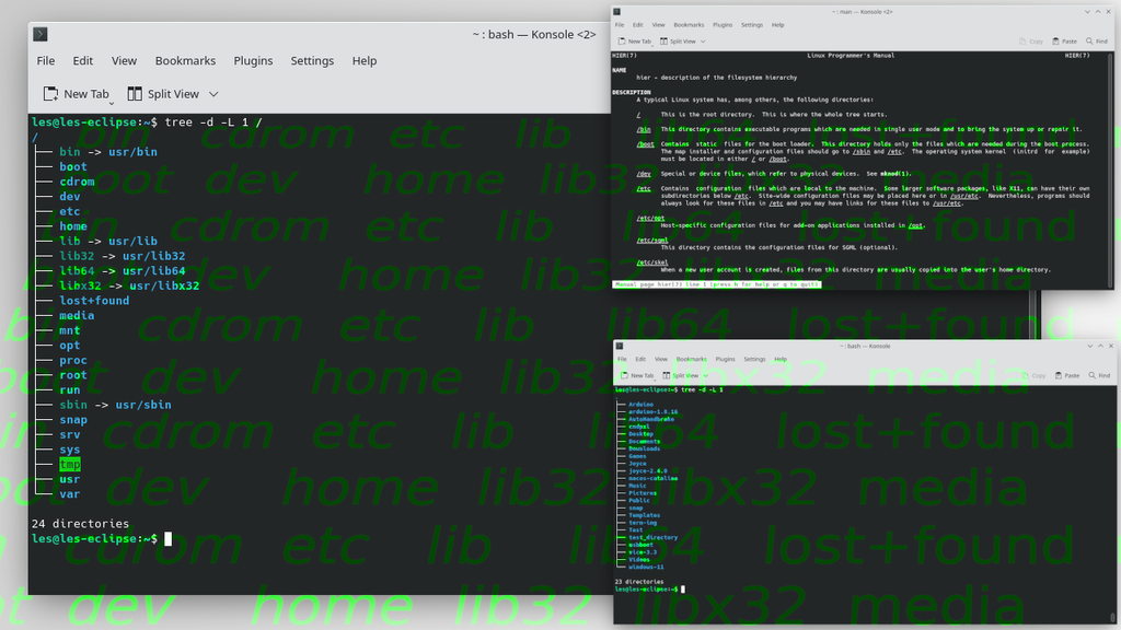 Getting To Know the Linux Filesystem | Tom's Hardware