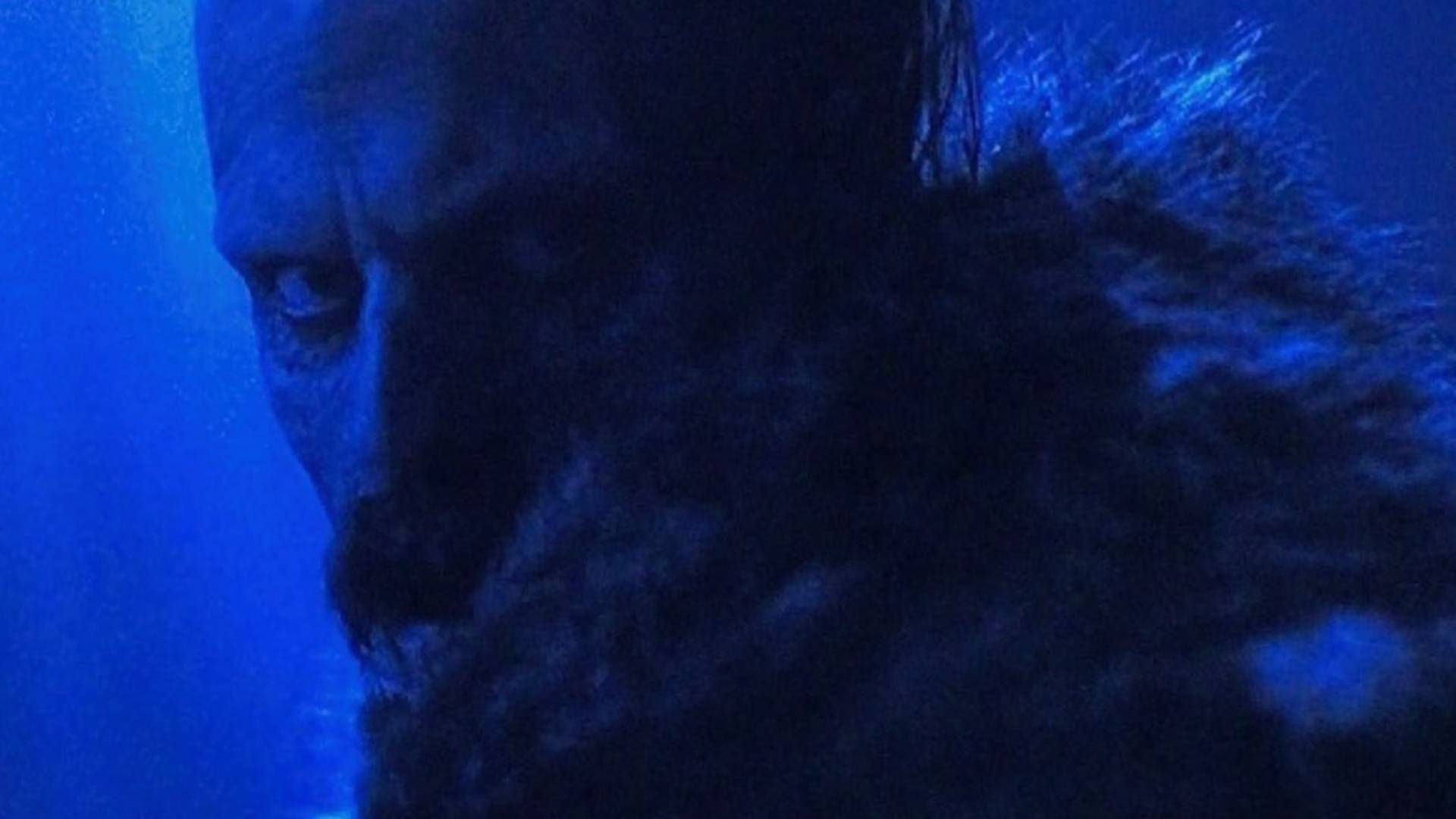Nosferatu’s Robert Eggers is directing a werewolf horror movie next ...