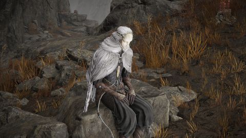 Igon quest steps in Elden Ring: Shadow of the Erdtree | PC Gamer