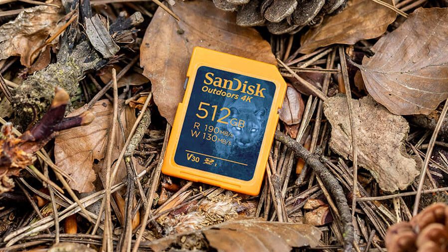 SanDisk's latest Outdoors SDXC cards are the toughest SD cards we've ...