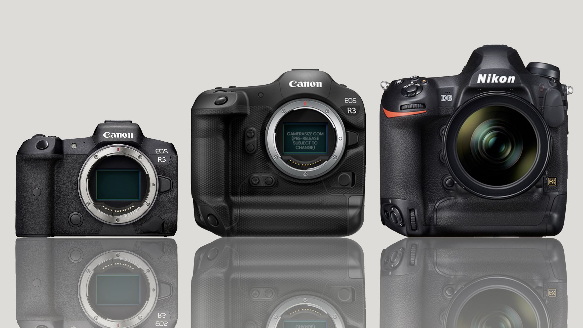 Canon EOS R3 size comparison: DWARFS the R5, smaller than Nikon and ...