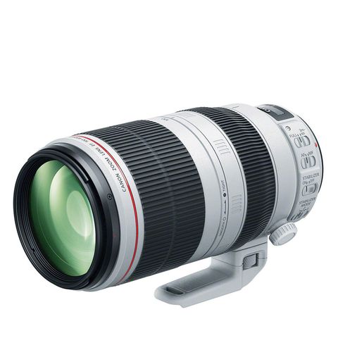 The best 100-400mm lenses | Digital Camera World