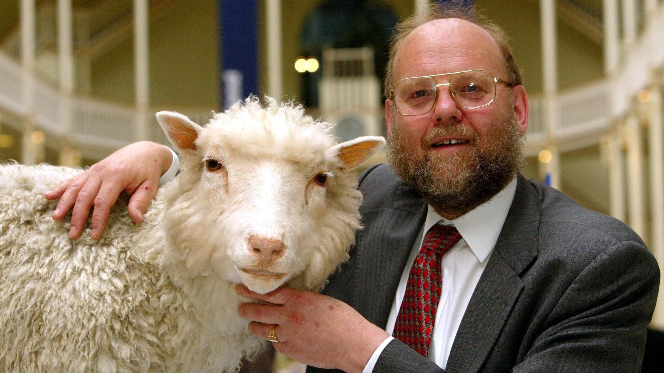 Ian Wilmut, British embryologist who created Dolly the sheep clone ...