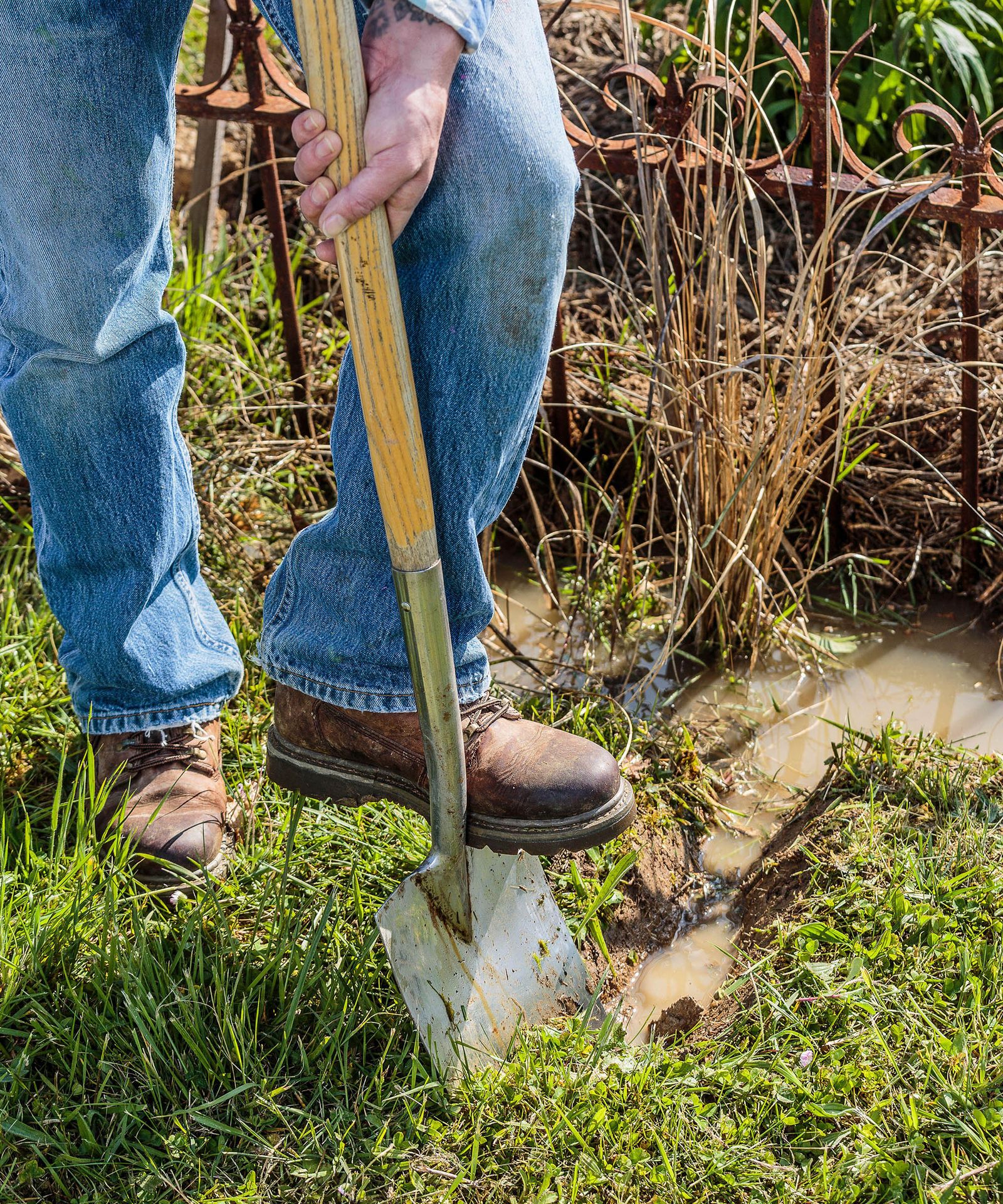 Overwatering plants: identify, avoid, and repair the damage | Gardeningetc