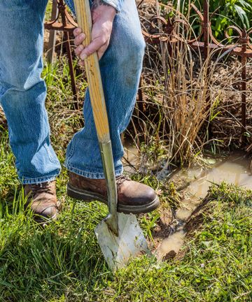 Overwatering plants: identify, avoid, and repair the damage | Gardeningetc