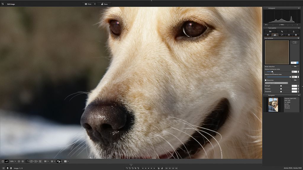 How to use Canon Digital Photo Professional – Canon DPP part 10 ...