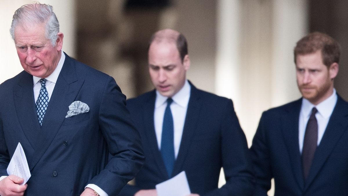 Impossibly, Relations Between Prince Harry and Both King Charles and Prince William Appear Even ...