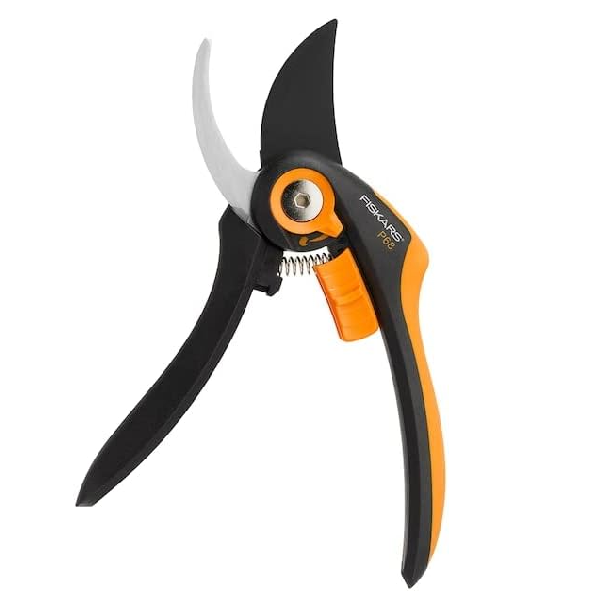 A guide to deadheading and when to do it, from pro gardeners | Livingetc