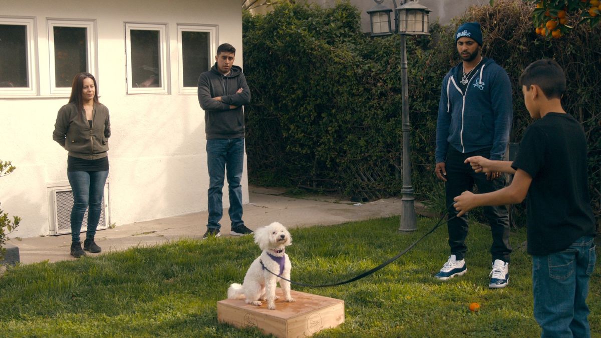 Netflix’s latest show Canine Intervention is a must-watch for dog ...