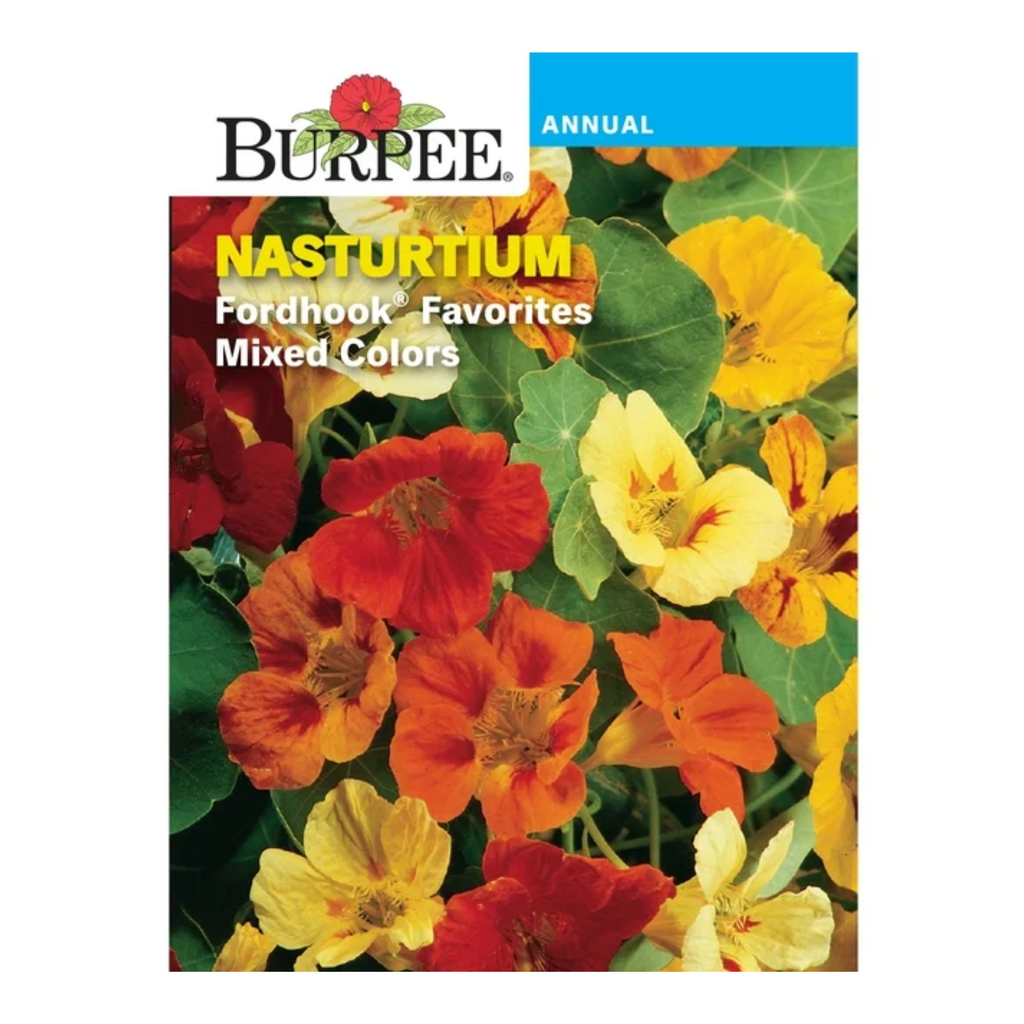 6 Fast-Growing Flower Seeds to Plant for a Blooming Backyard | Livingetc