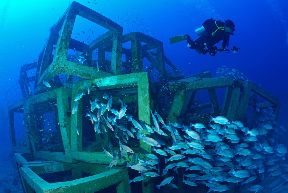 12 Outstanding Artificial Reefs to Visit: Page 2 | Live Science