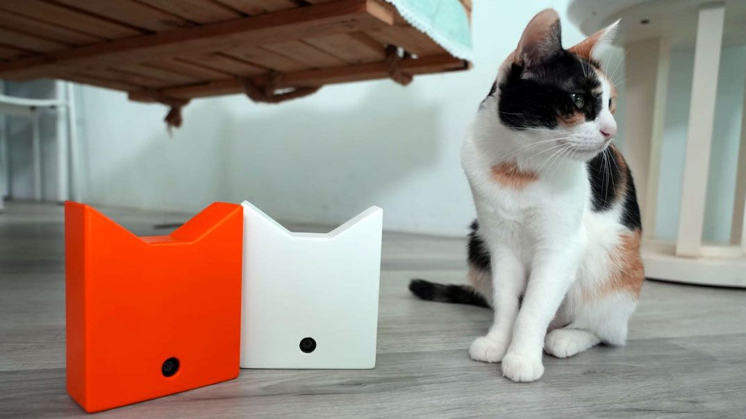 AI pet camera Pet Pet Cam can feed social media by 'spotting cute ...