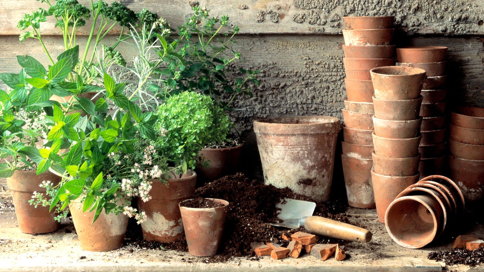 How to Make Floret Flowers’ DIY Potting Soil Mix | Gardening Know How