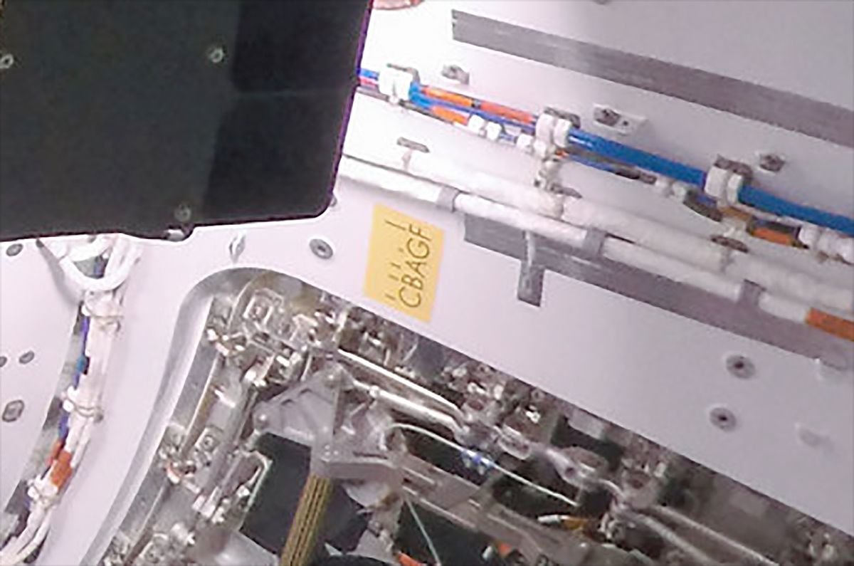 Artemis 1 Easter eggs: NASA flew secret messages to the moon | Space