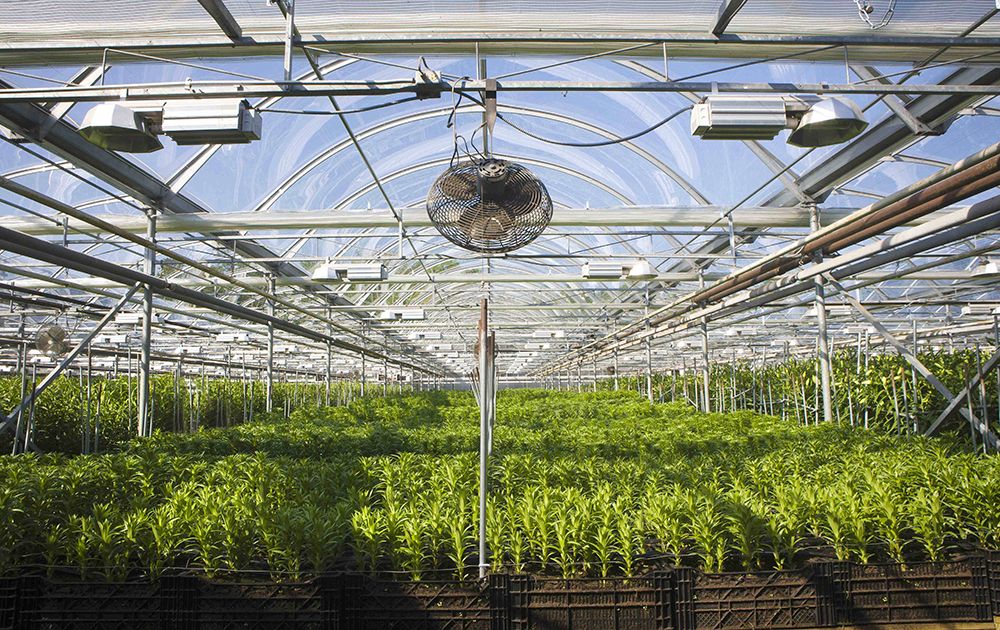 6 homes perfect for growing your own food | The Week