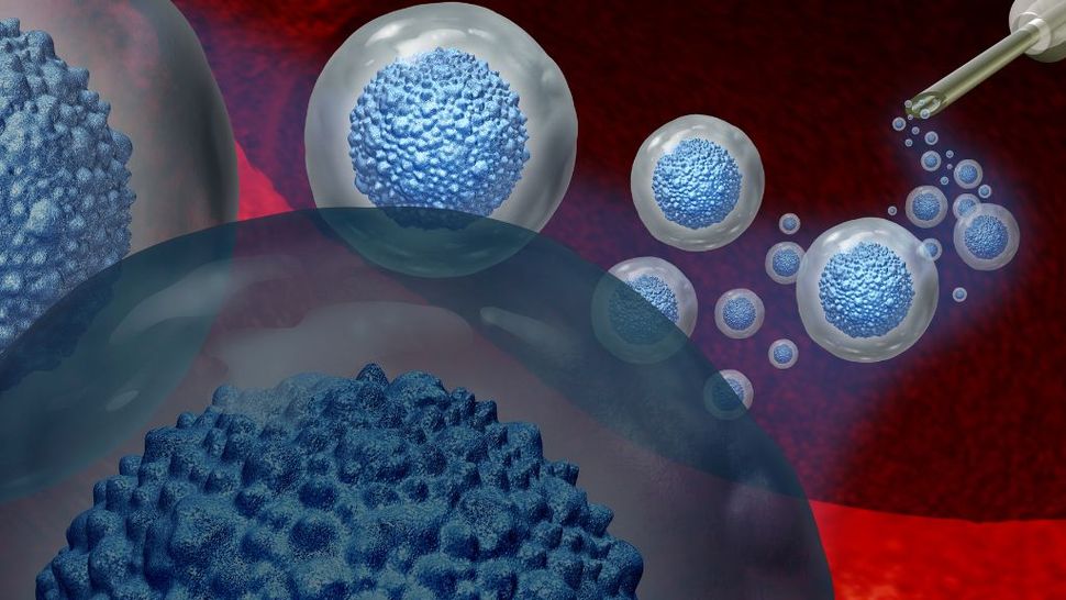 How are people cured of HIV? Here's everything you need to know | Live ...